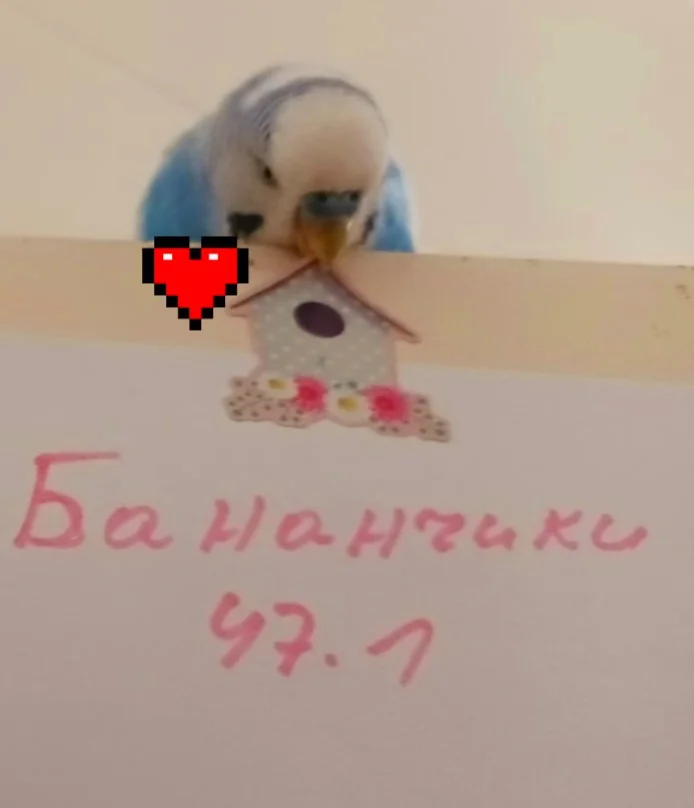 Тема Самоделкина для #47_1 Бананчики 🍌 | Страница 6 | Форум бросающих курить и пить